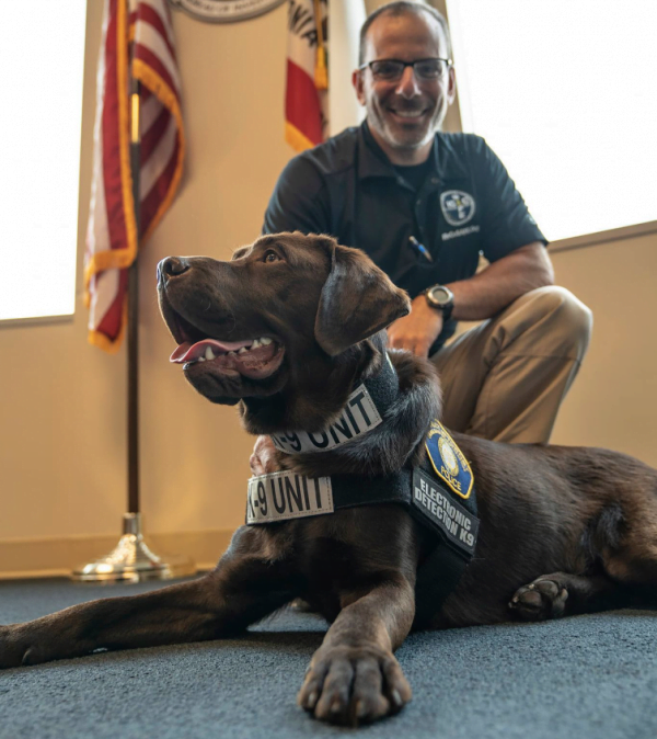 New electronics detecting police dog joins DA Bureau of Investigation ...