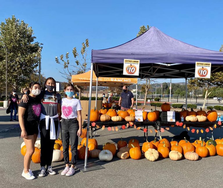 NCL Temecula Valley picks pumpkins for Outreach Farm Project | Valley News