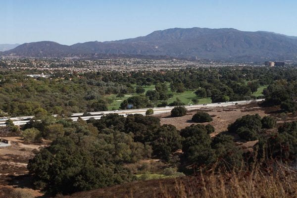 Altair Development settlement sets aside space for big cats | Valley News