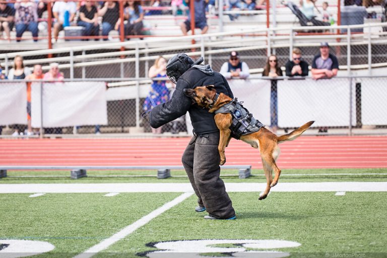 K9 Trials to benefit Paws 4 Law Foundation | Valley News