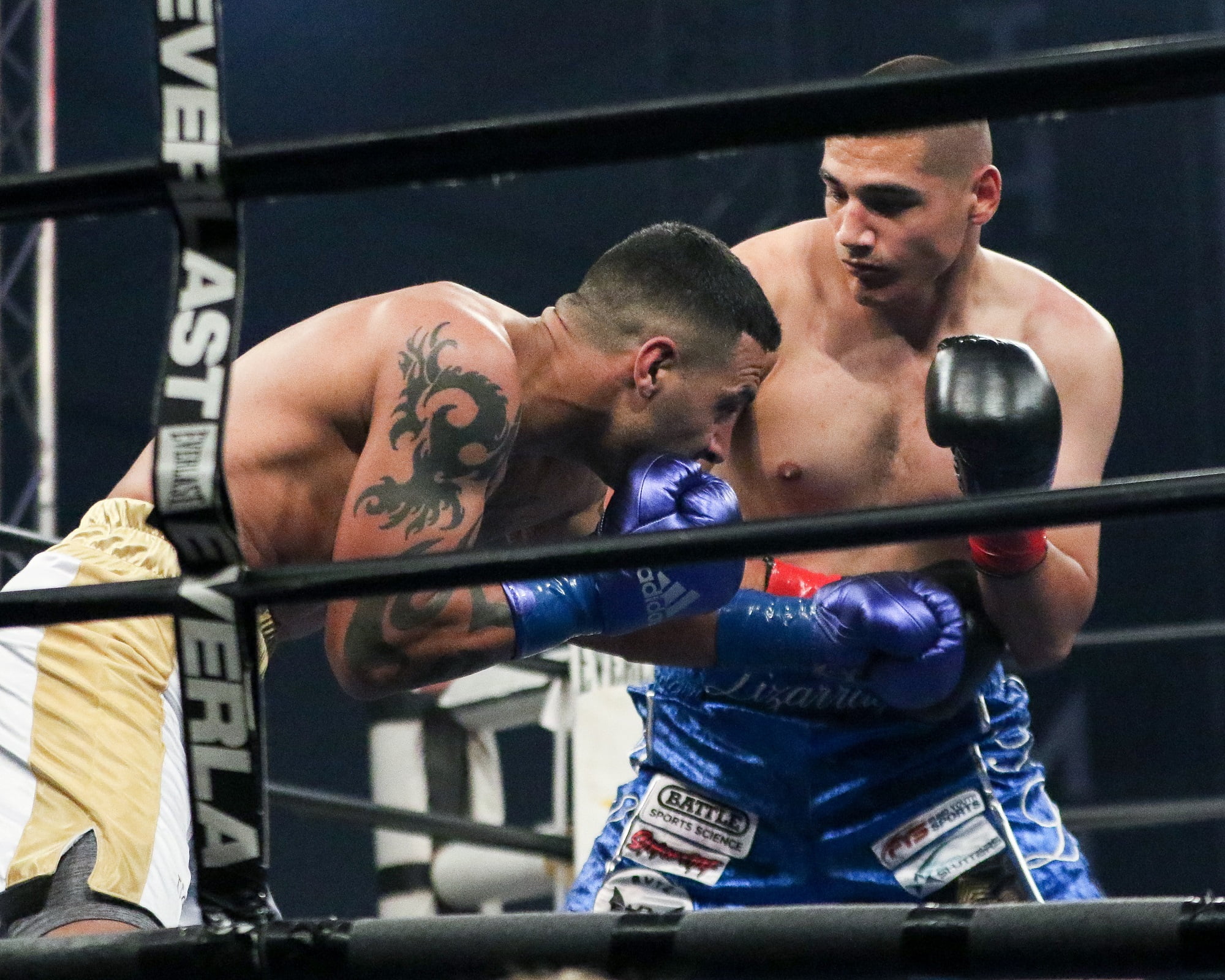 Murrieta boxer wins ABO North American middleweight title | Valley News