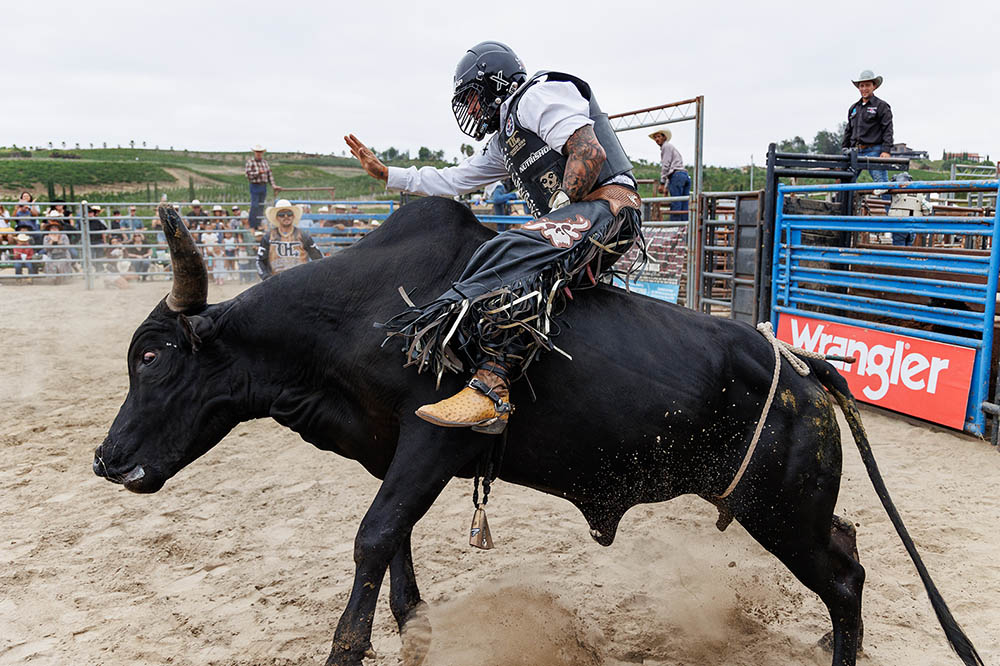 Rodeo comes to Temecula at Way Out West Fest | Valley News