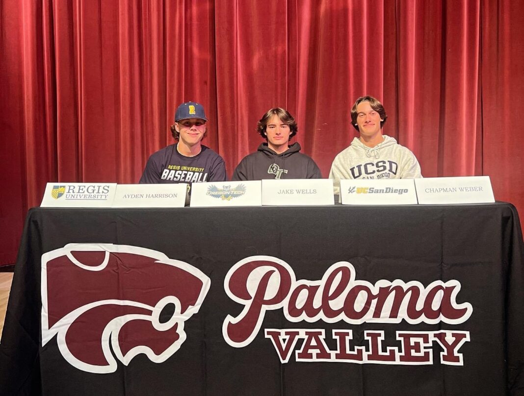 Senior student athletes sign their National Letters of Intent | Valley News