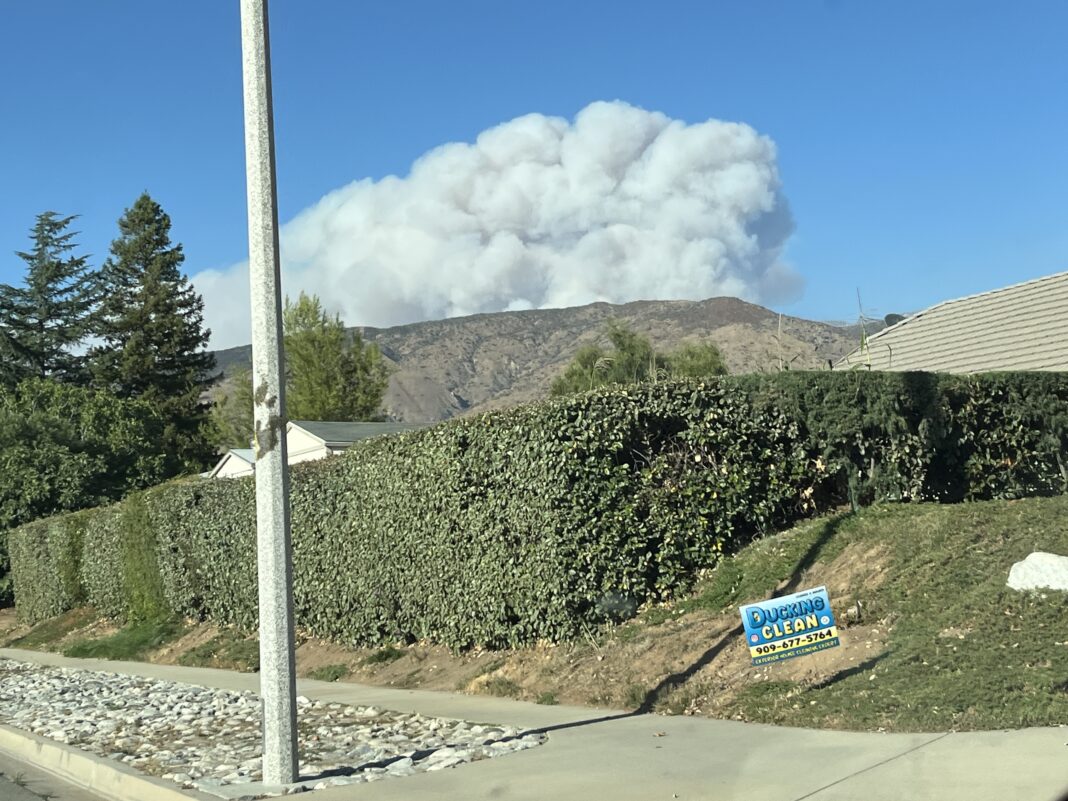 Line Fire flair up chars over 3000 acres overnight | Valley News