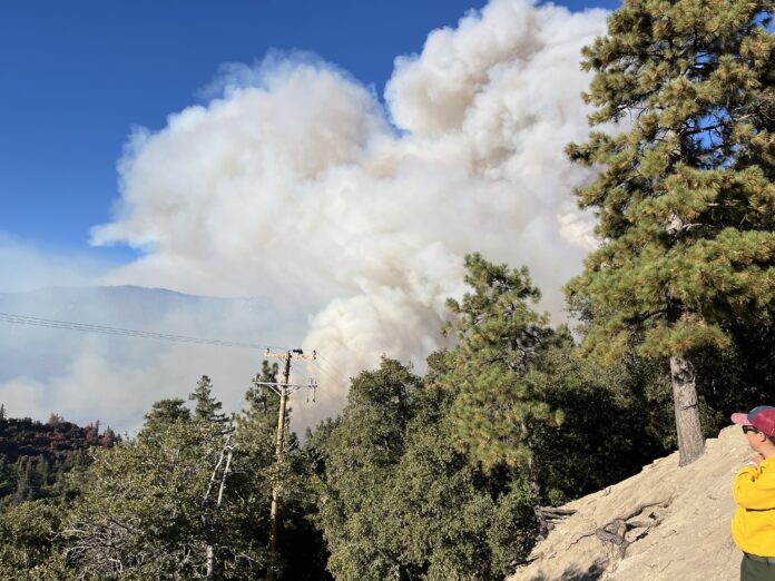 Line Fire flair up chars over 3000 acres overnight | Valley News