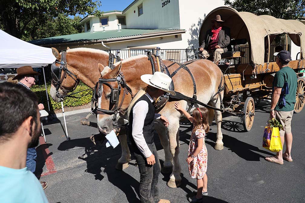 Wild West comes alive at Temecula History Day | Valley News