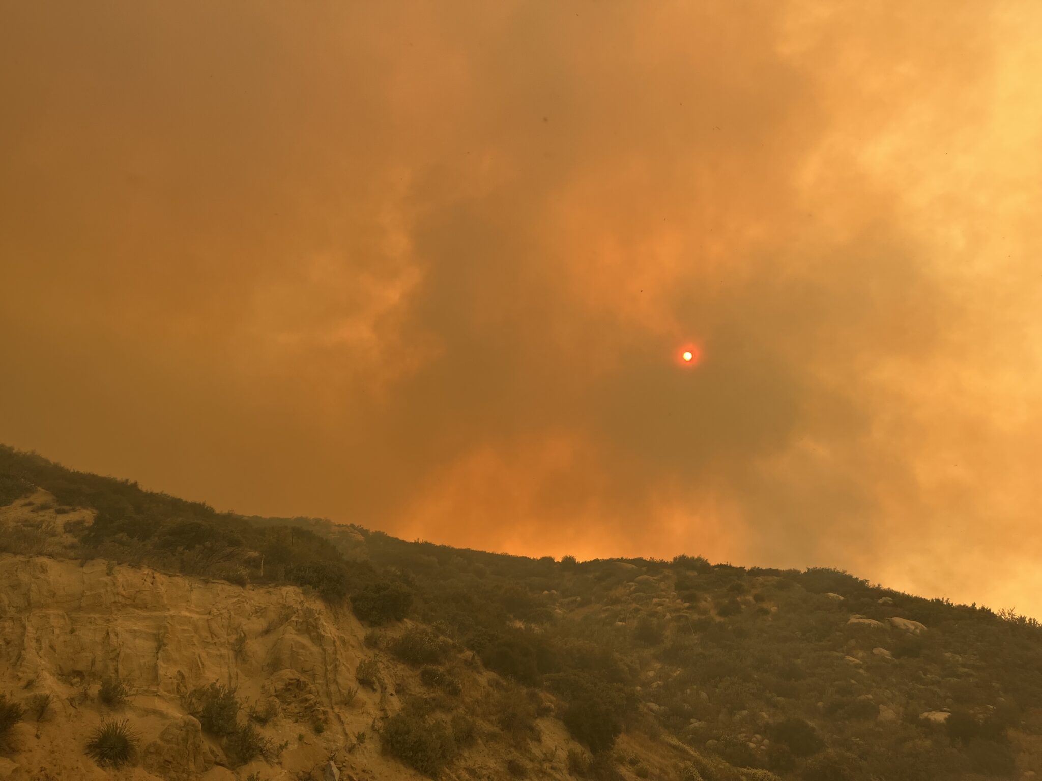 Wolf Fire grows to 2414 acres with 35% containment; Evacuation orders ...