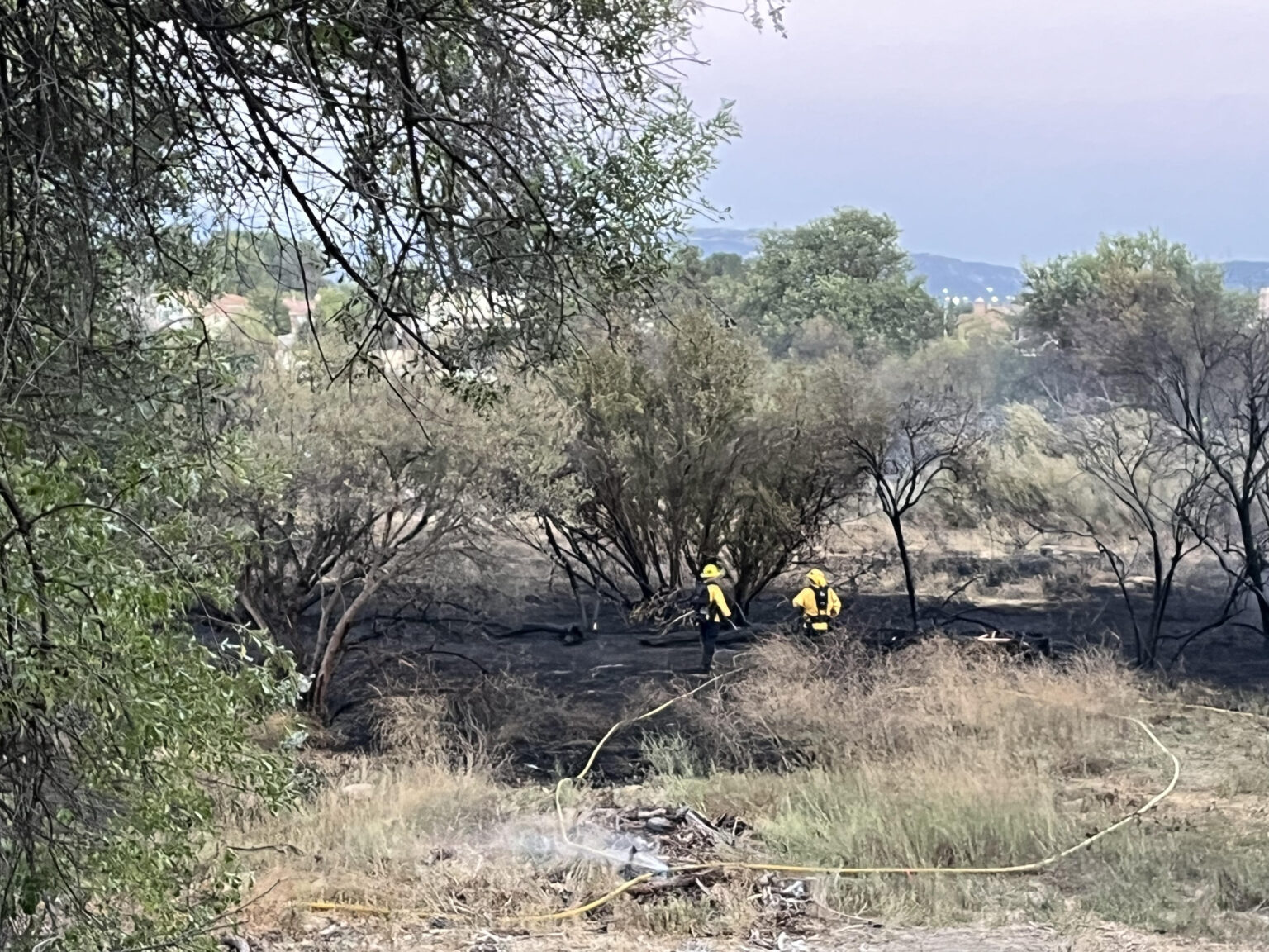 Samantha Fire erupts in the Wolf Valley area | Valley News
